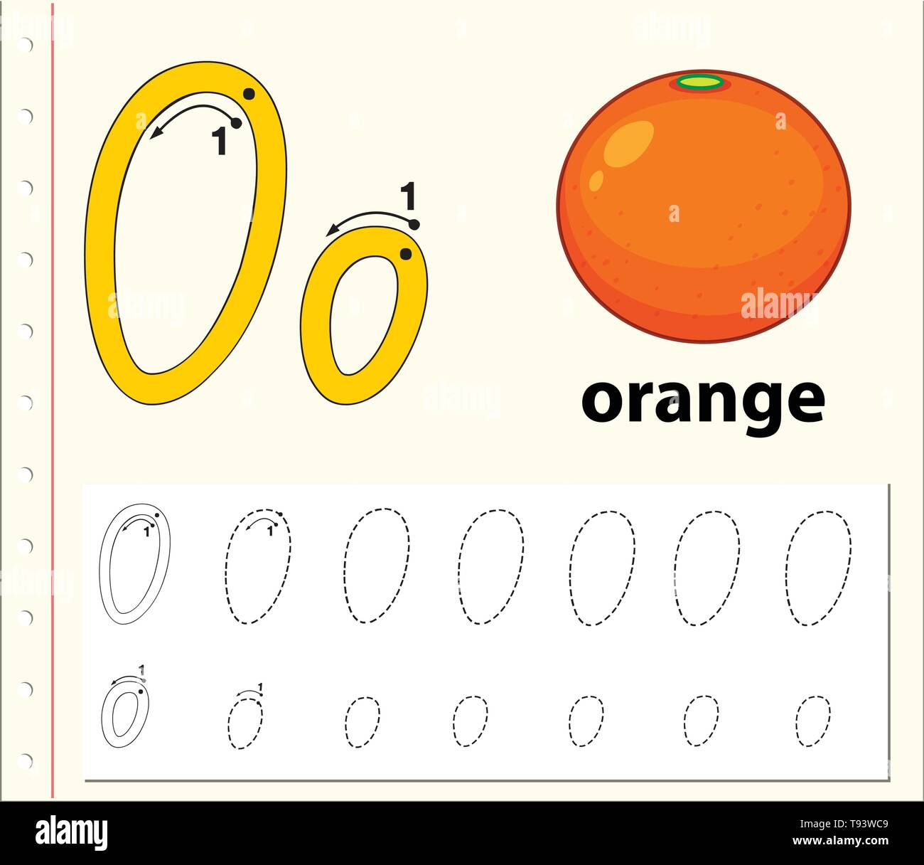 Letter O tracing alphabet worksheets illustration Stock Vector Image ...