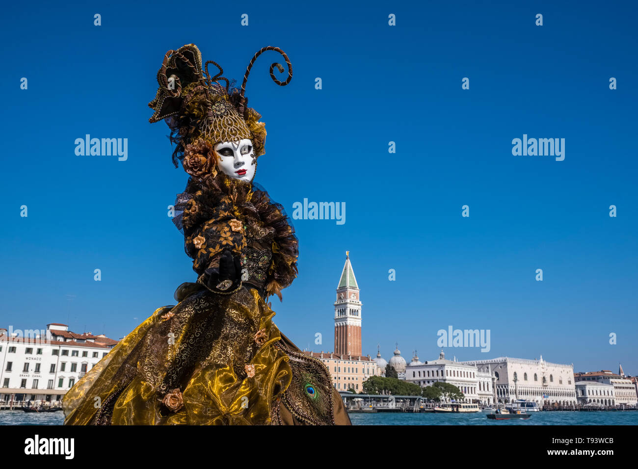 Portrait of a feminin masked person in a beautiful creative costume ...