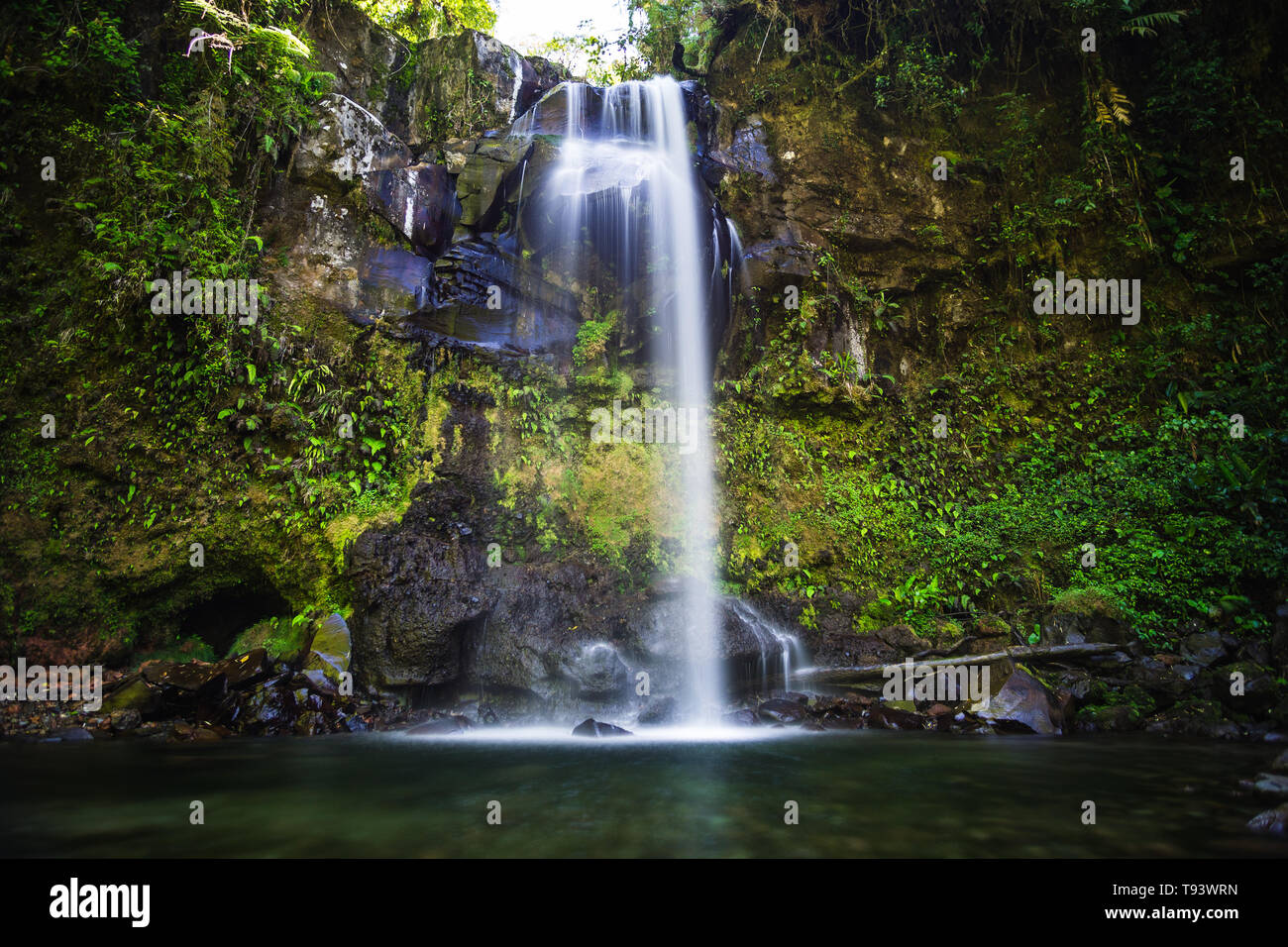 Lost Waterfall in Boquete Panama Beautiful Scenery Stock Photo - Alamy