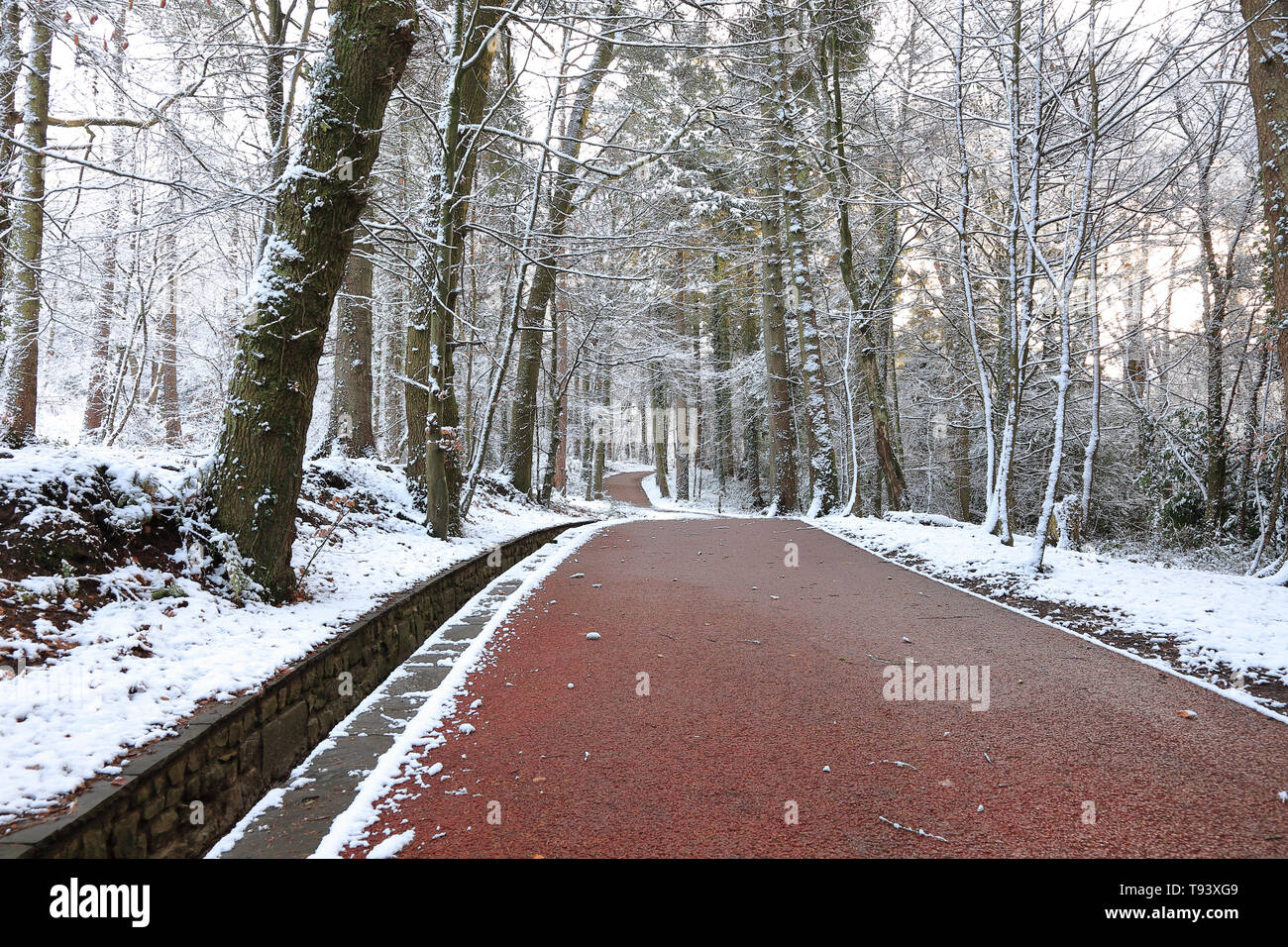 Winter scene uk snow trees path hi-res stock photography and images - Alamy