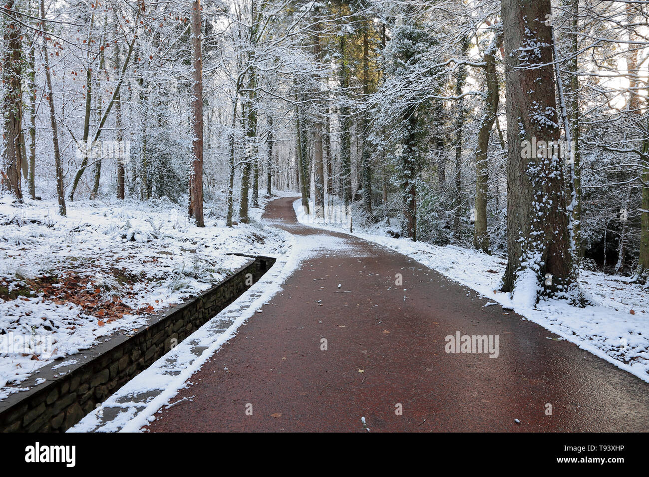 Winter scene uk snow trees path hi-res stock photography and images - Alamy