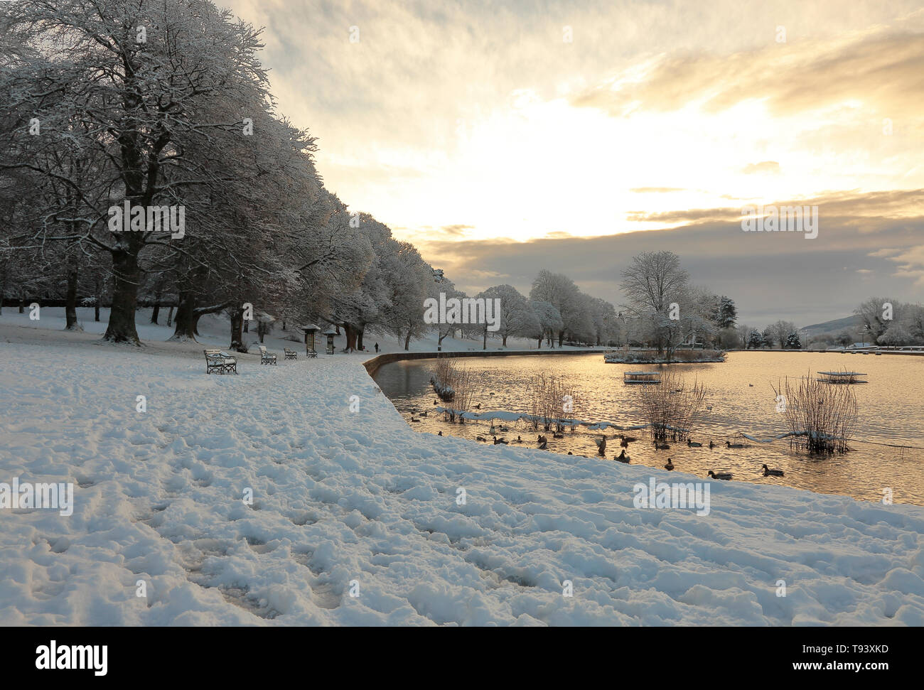 Cyfarthfa park hi-res stock photography and images - Alamy