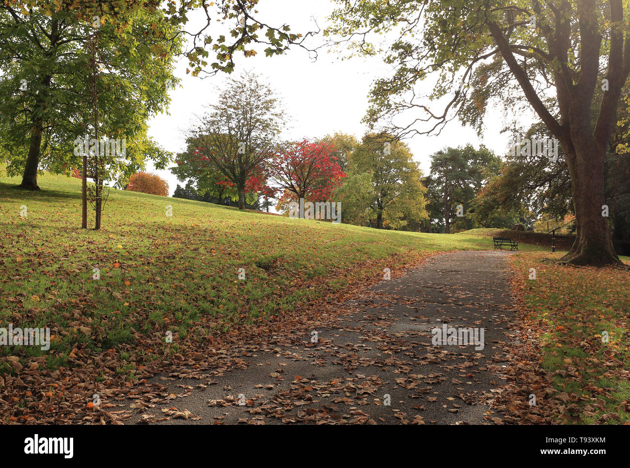 Cyfarthfa park hi-res stock photography and images - Alamy