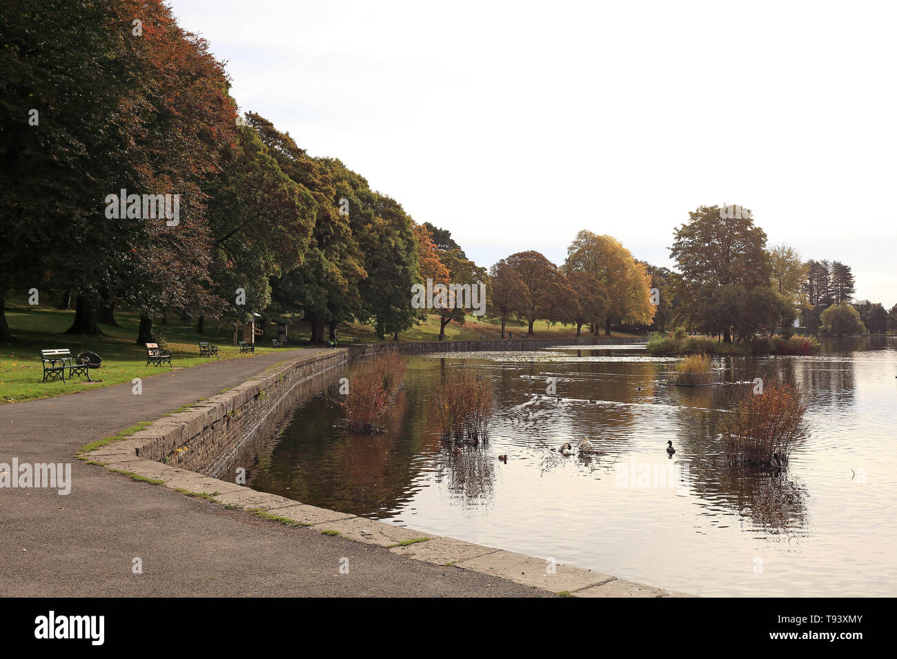 Cyfarthfa hi-res stock photography and images - Alamy