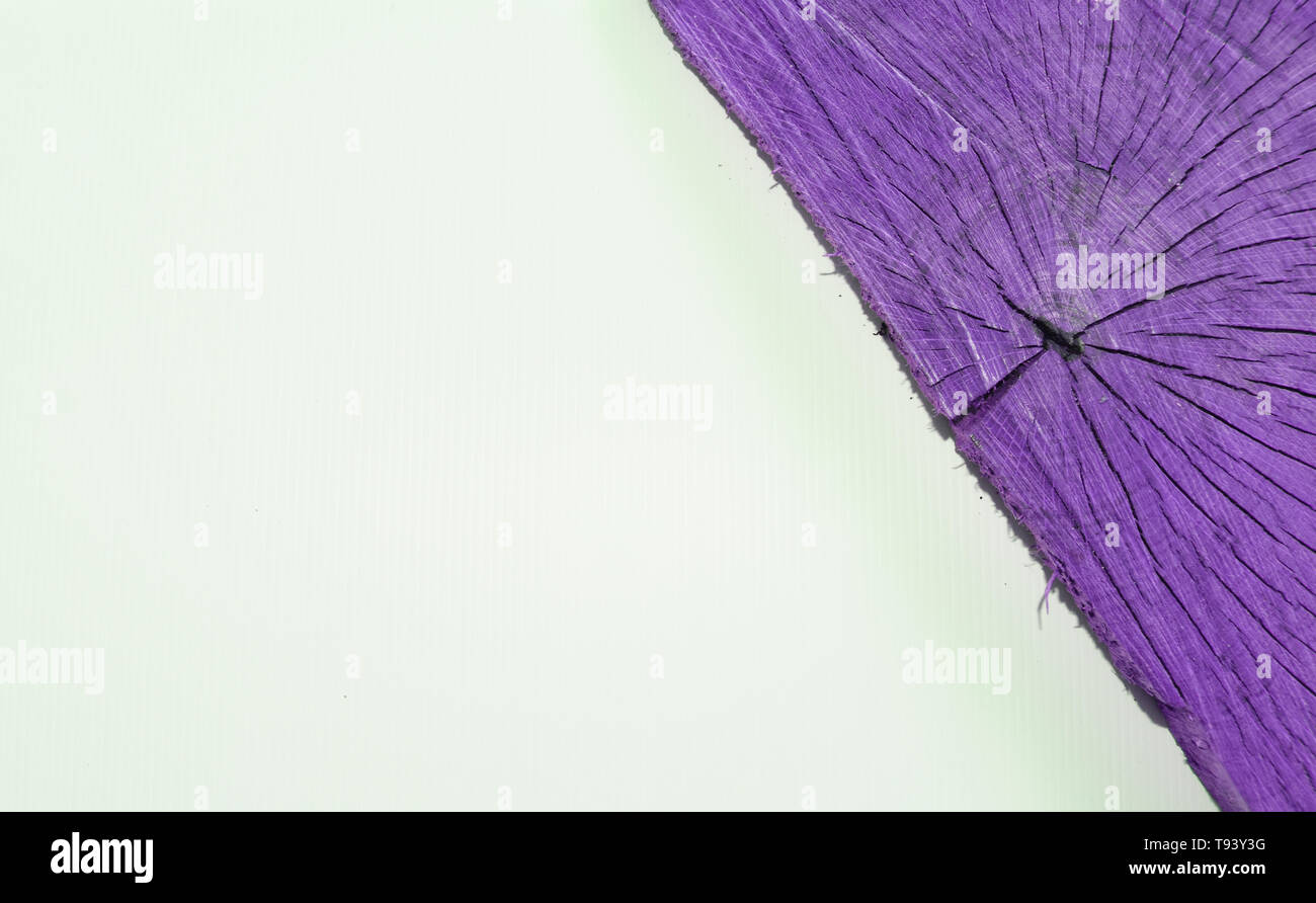 Wood on white Stock Photo - Alamy