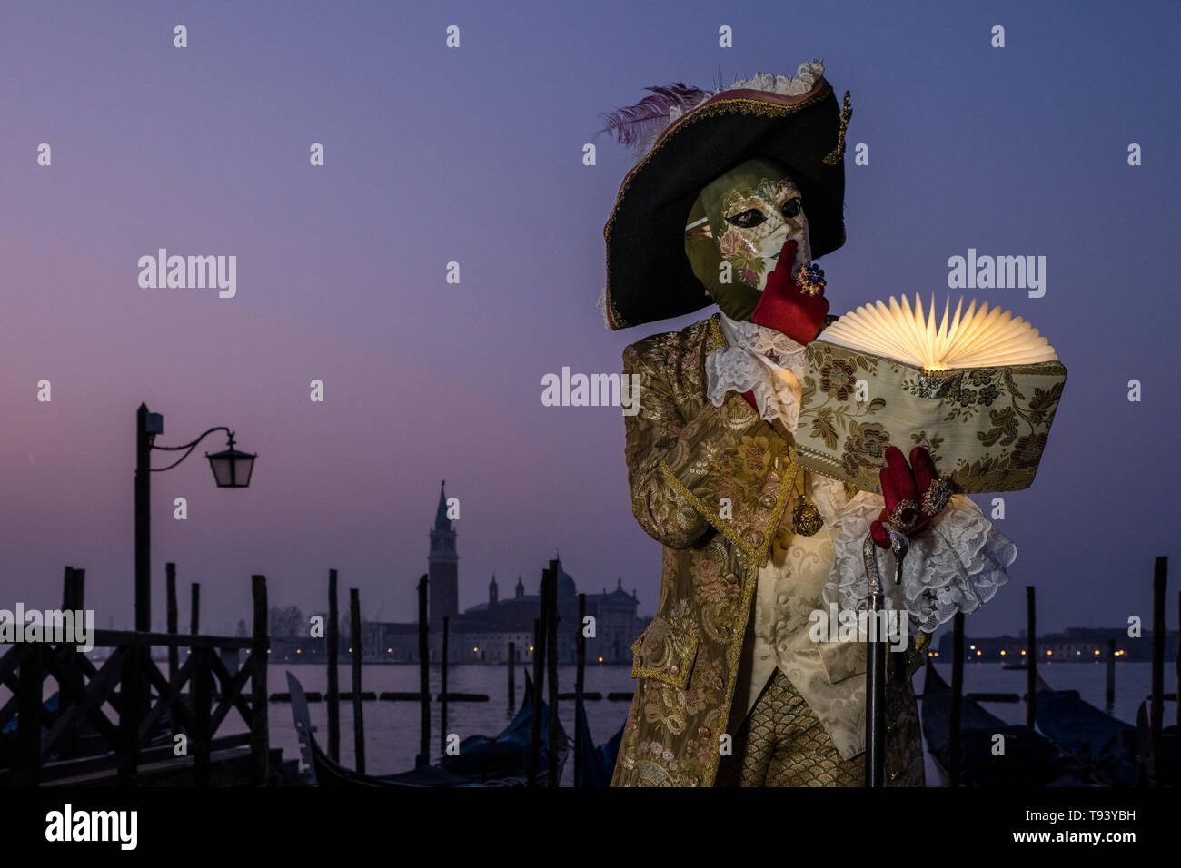 Portrait of a masculin masked person in a beautiful creative costume ...