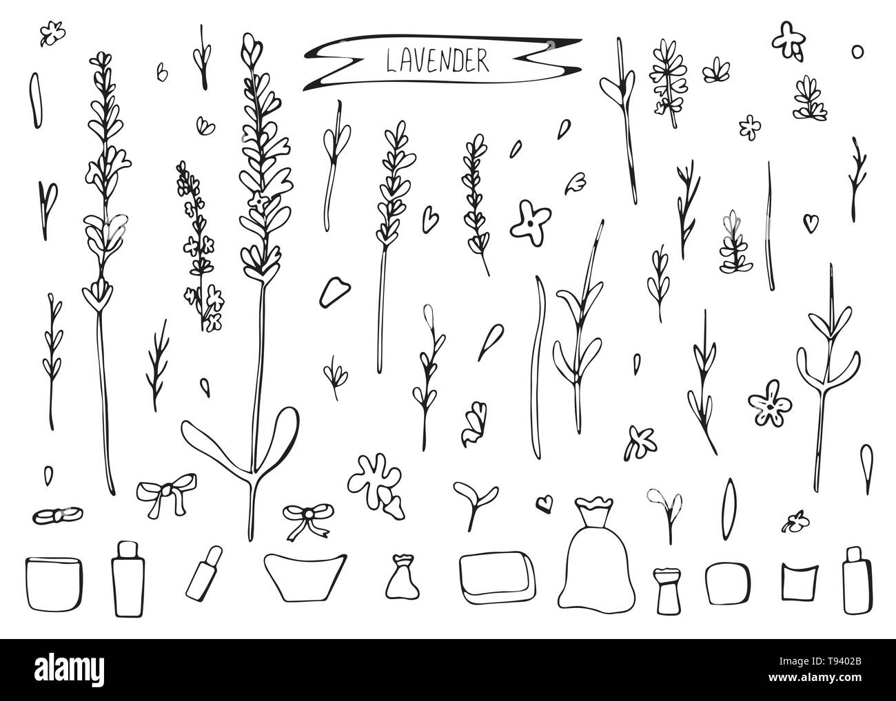 Lavender set in doodle style. Sketch flowers elements isolated on white ...