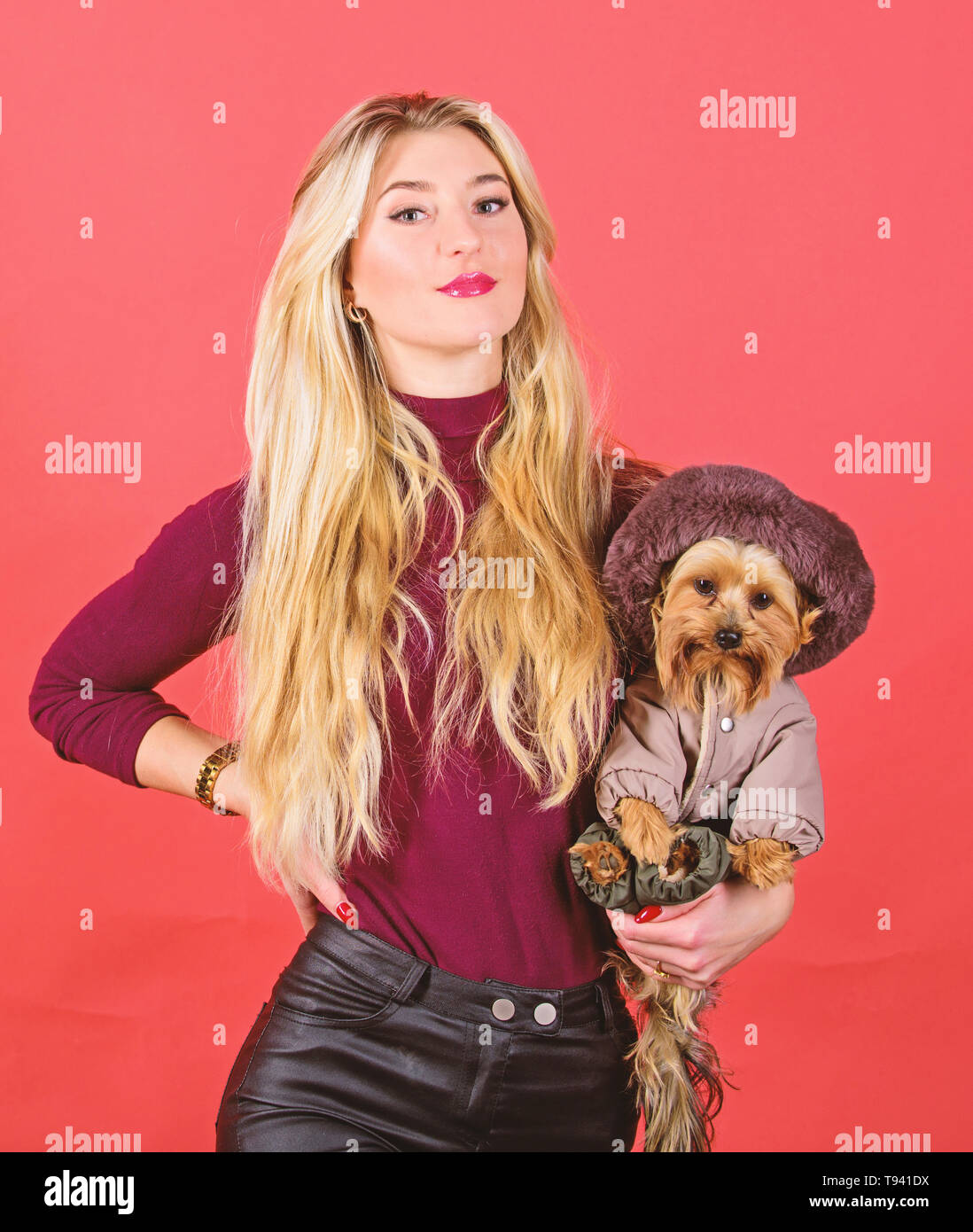 Make sure dog feel comfortable in clothes. Apparel and accessories ...