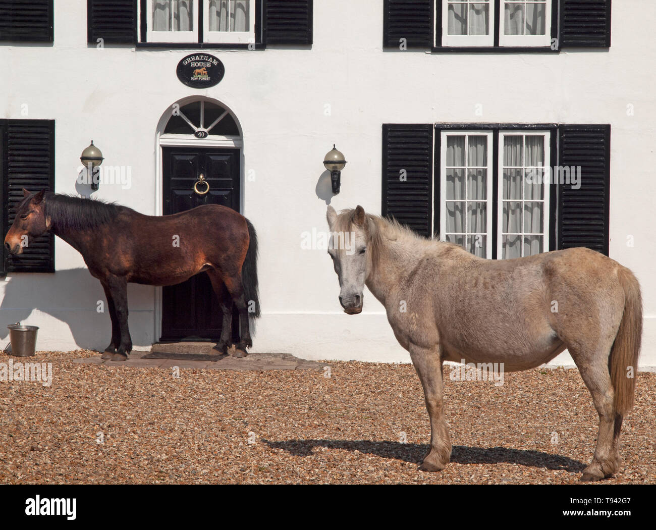 Burley house, hampshire hi-res stock photography and images - Alamy