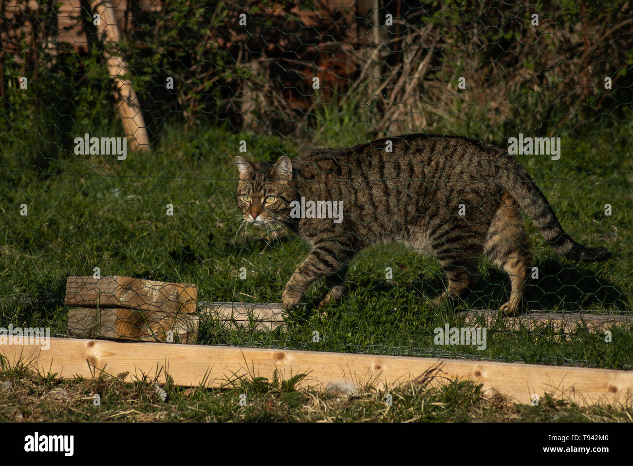 Swedish Farmers High Resolution Stock Photography and Images - Alamy