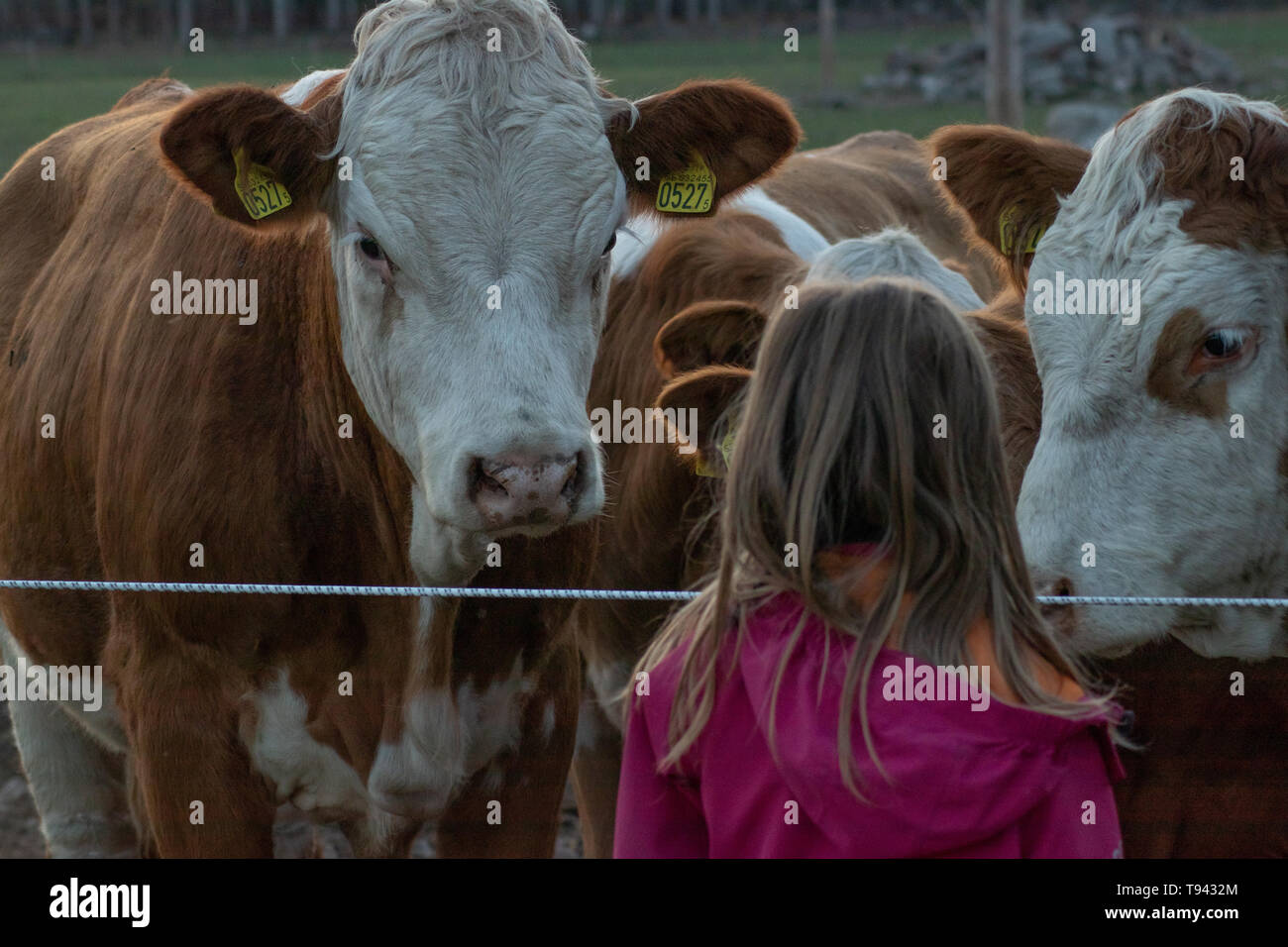 Kid on farm hi-res stock photography and images - Alamy