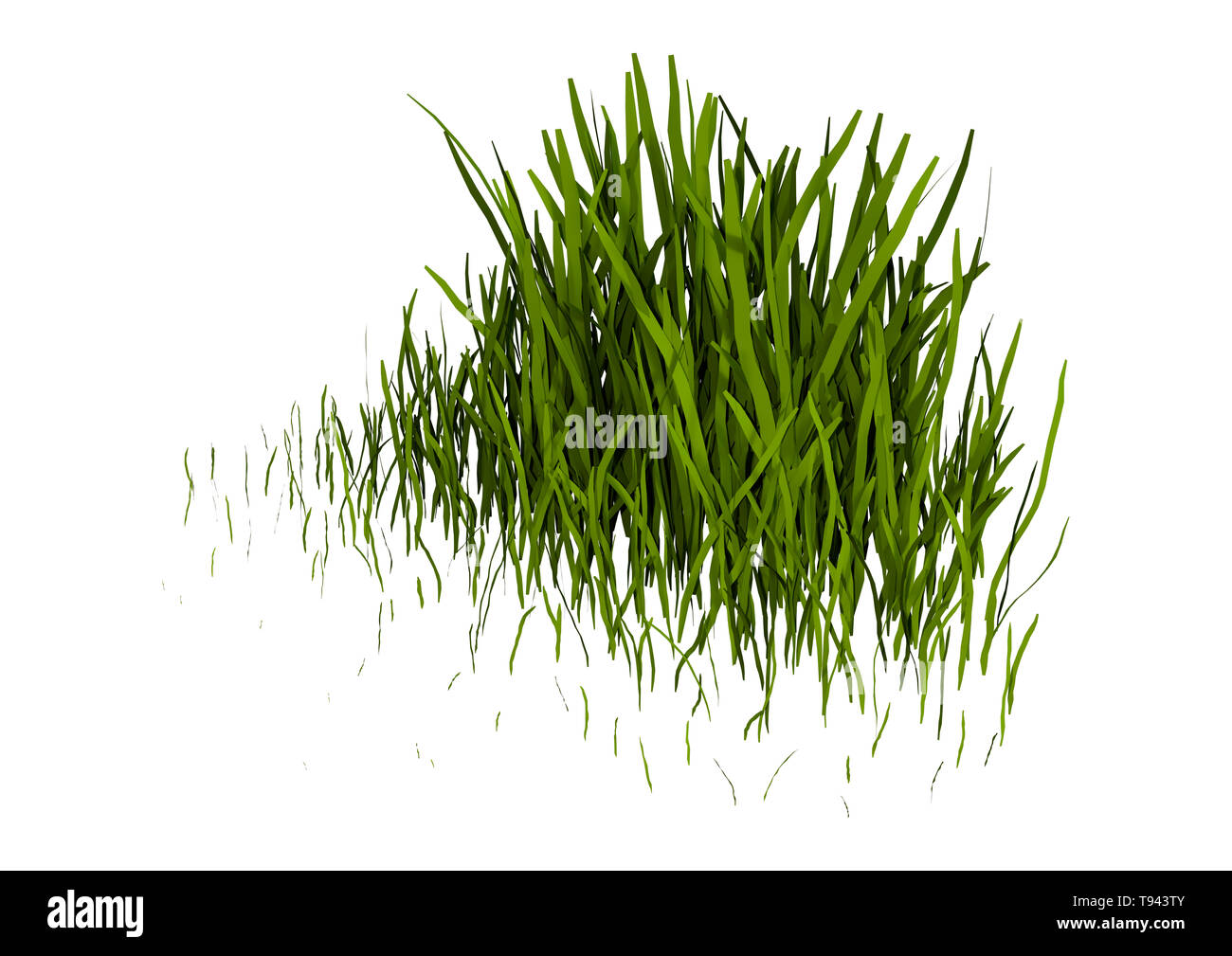 3D rendering of a patch of grass isolated on white background Stock ...