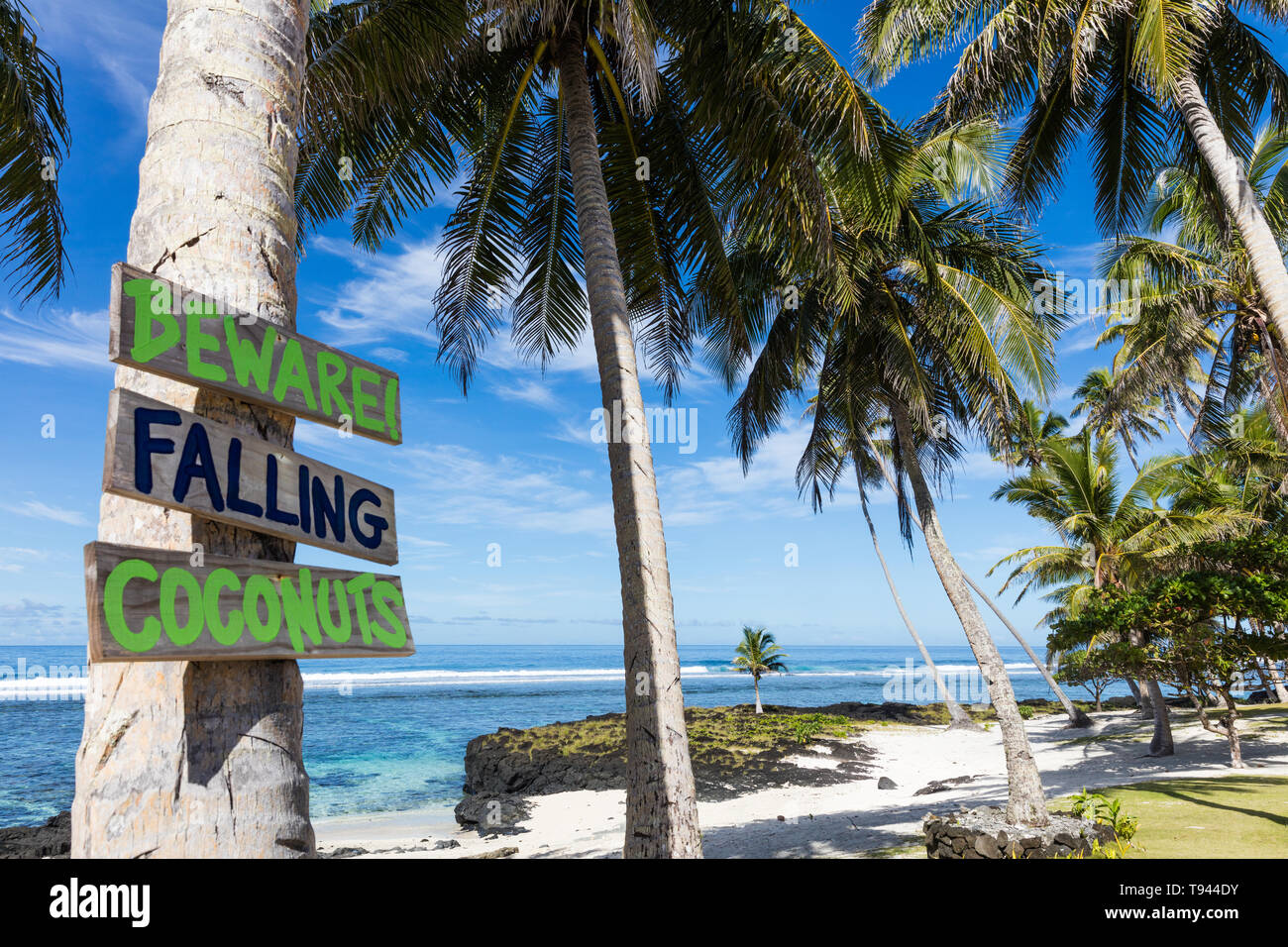 Tropical scenery view on beach in Polynesia with coconut palm trees ...