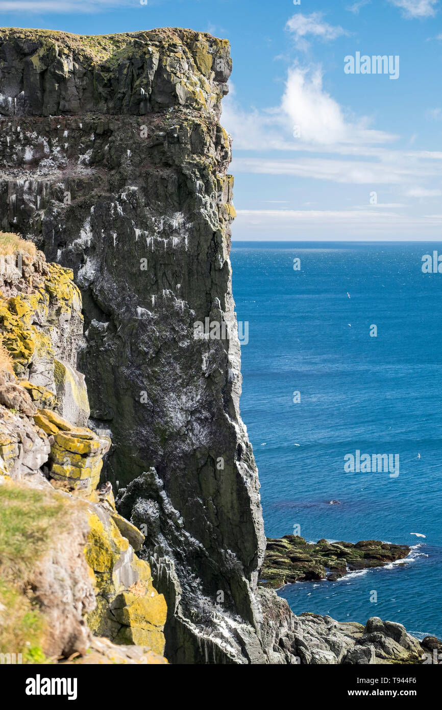 Látrabjarg cliff, Westfjords Stock Photo - Alamy