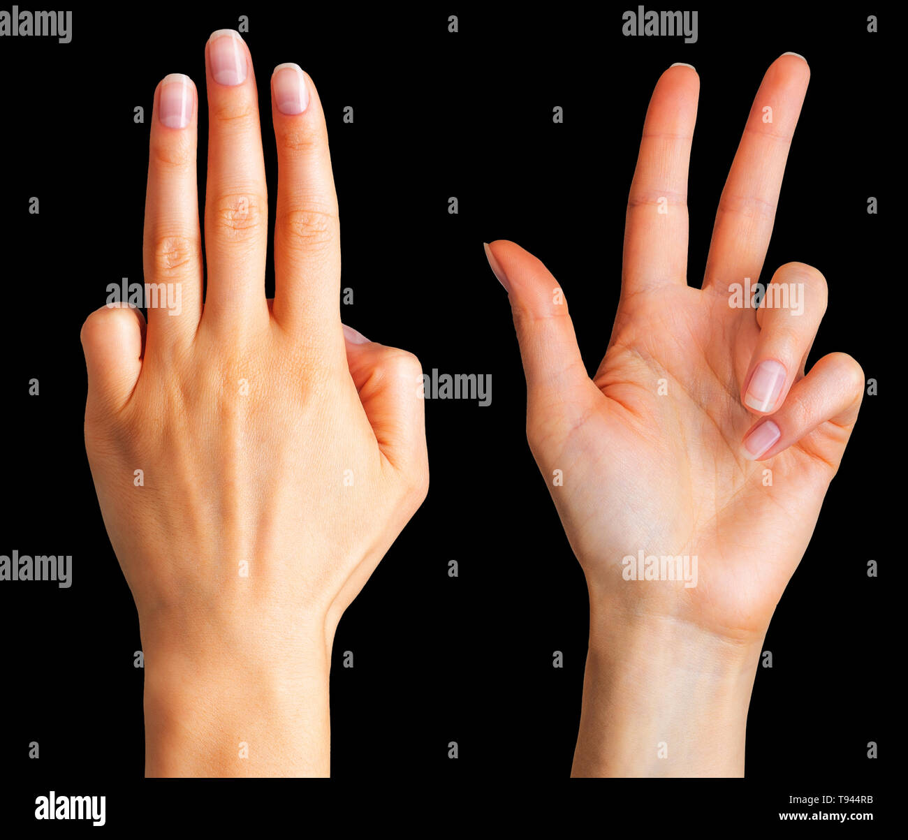 Set of woman hands showing three fingers and palm Stock Photo - Alamy