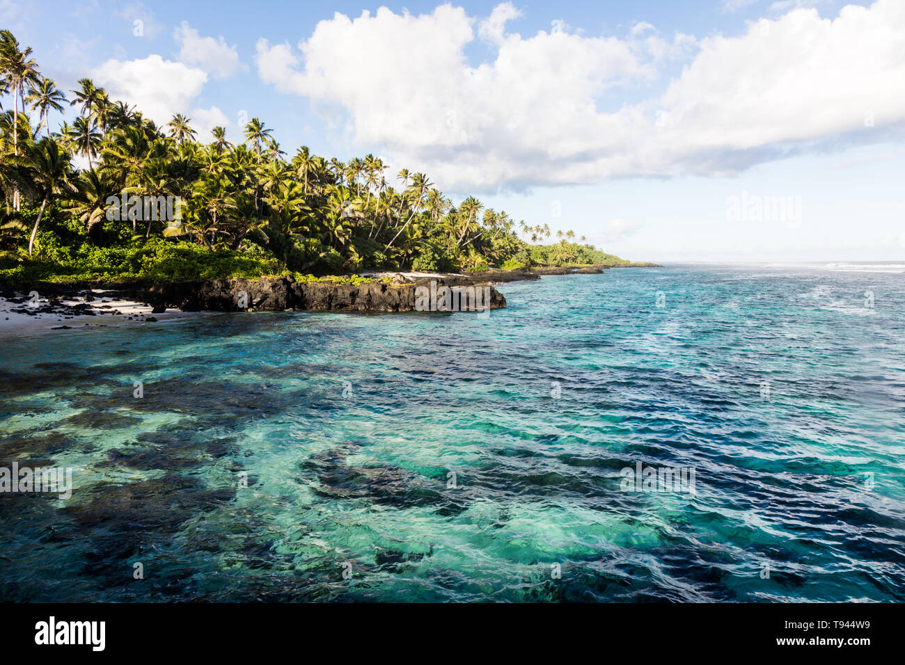 Tropical scenery view on beach in Polynesia with coconut palm trees ...