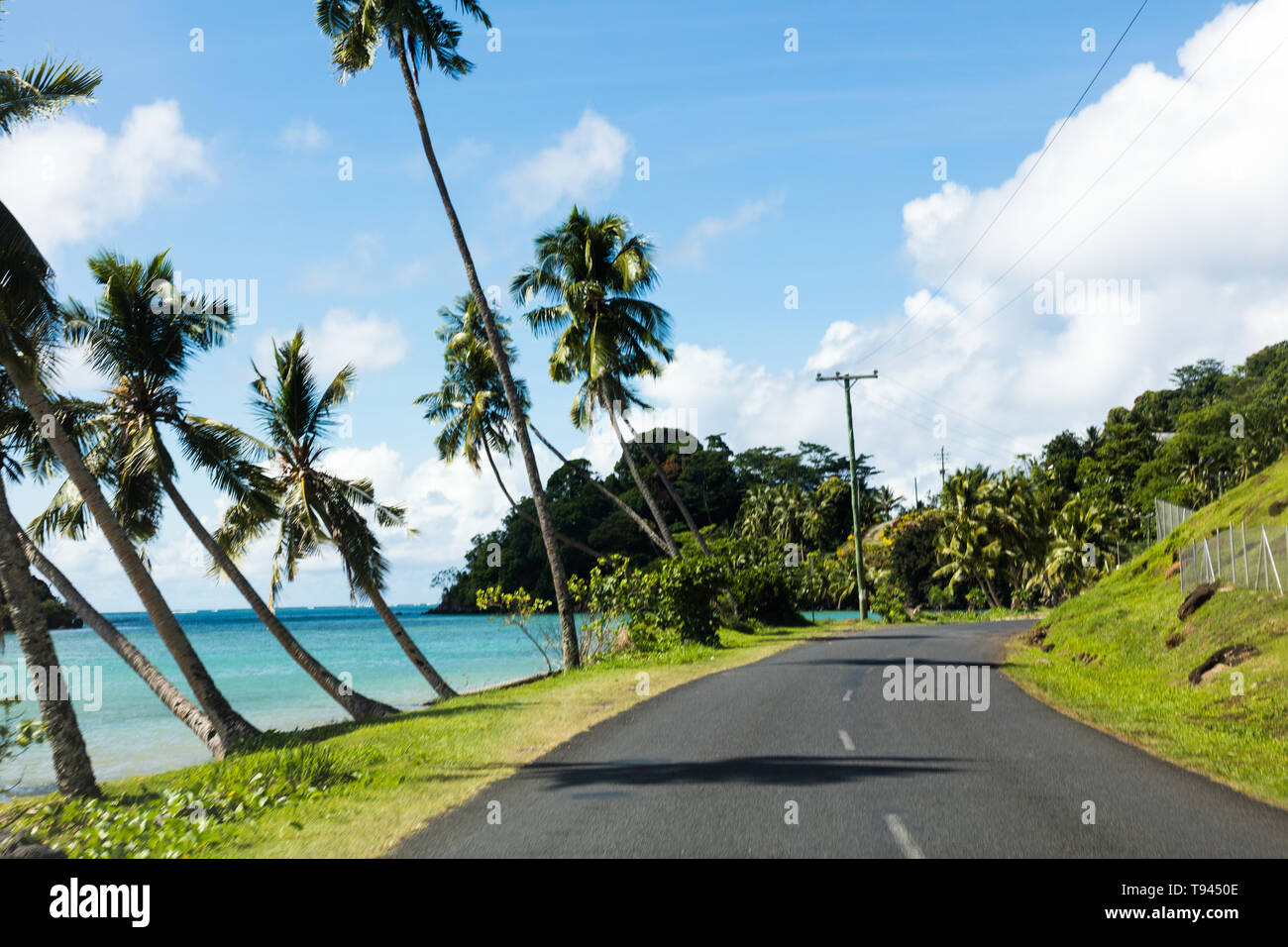 Tropical scenery view on beach in Polynesia with coconut palm trees ...
