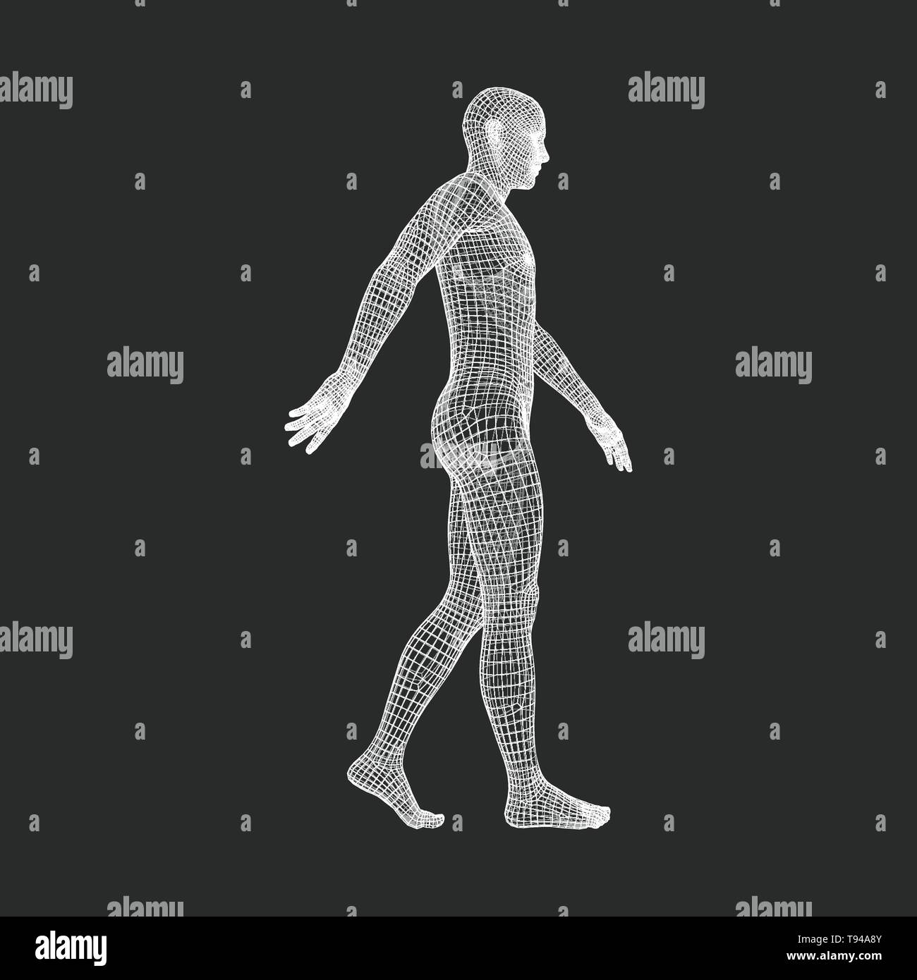 Walking Man. 3D Human Body Model. Geometric Design. Human Body Wire ...