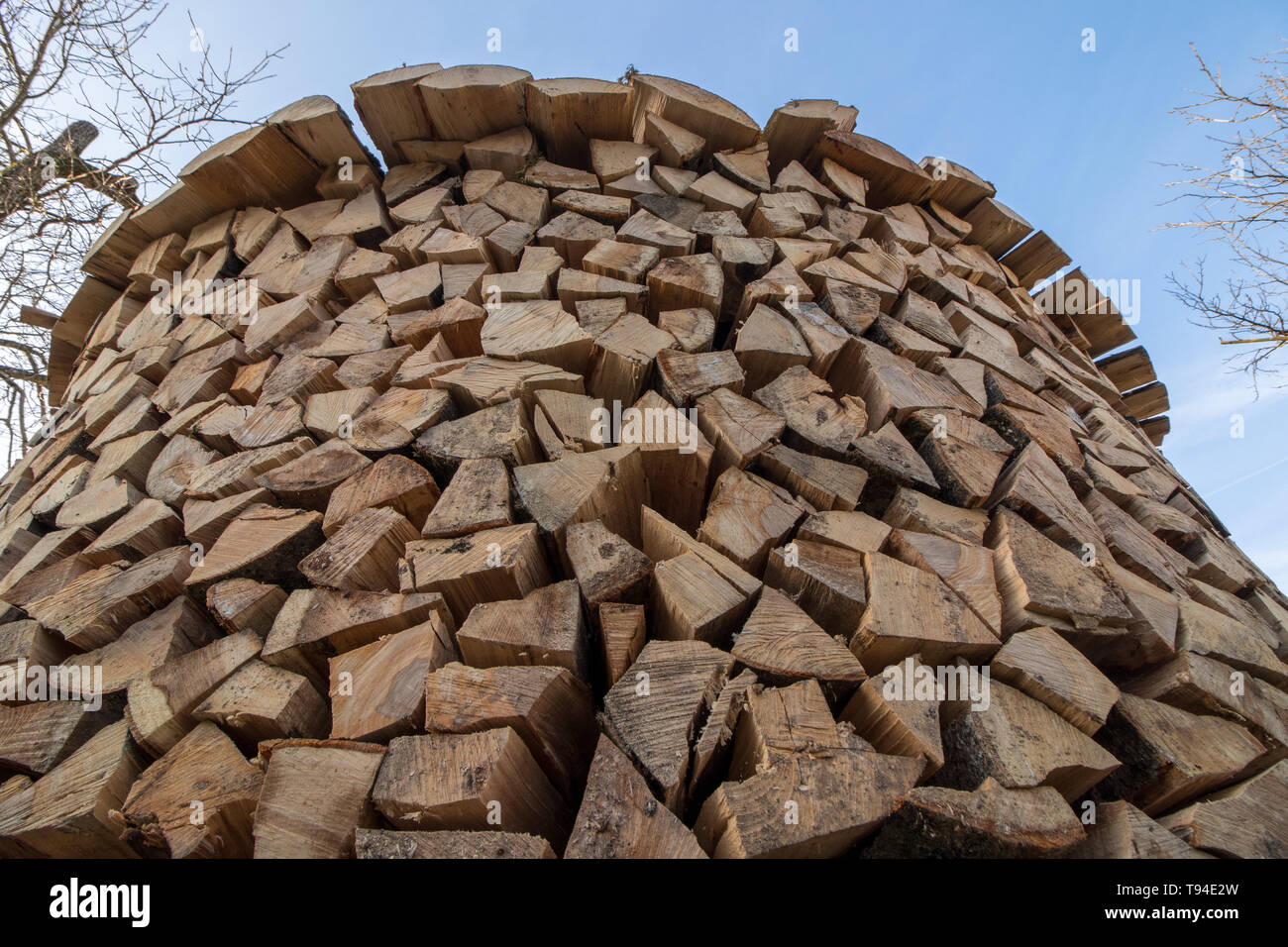 stockpile of logs from close up Stock Photo - Alamy