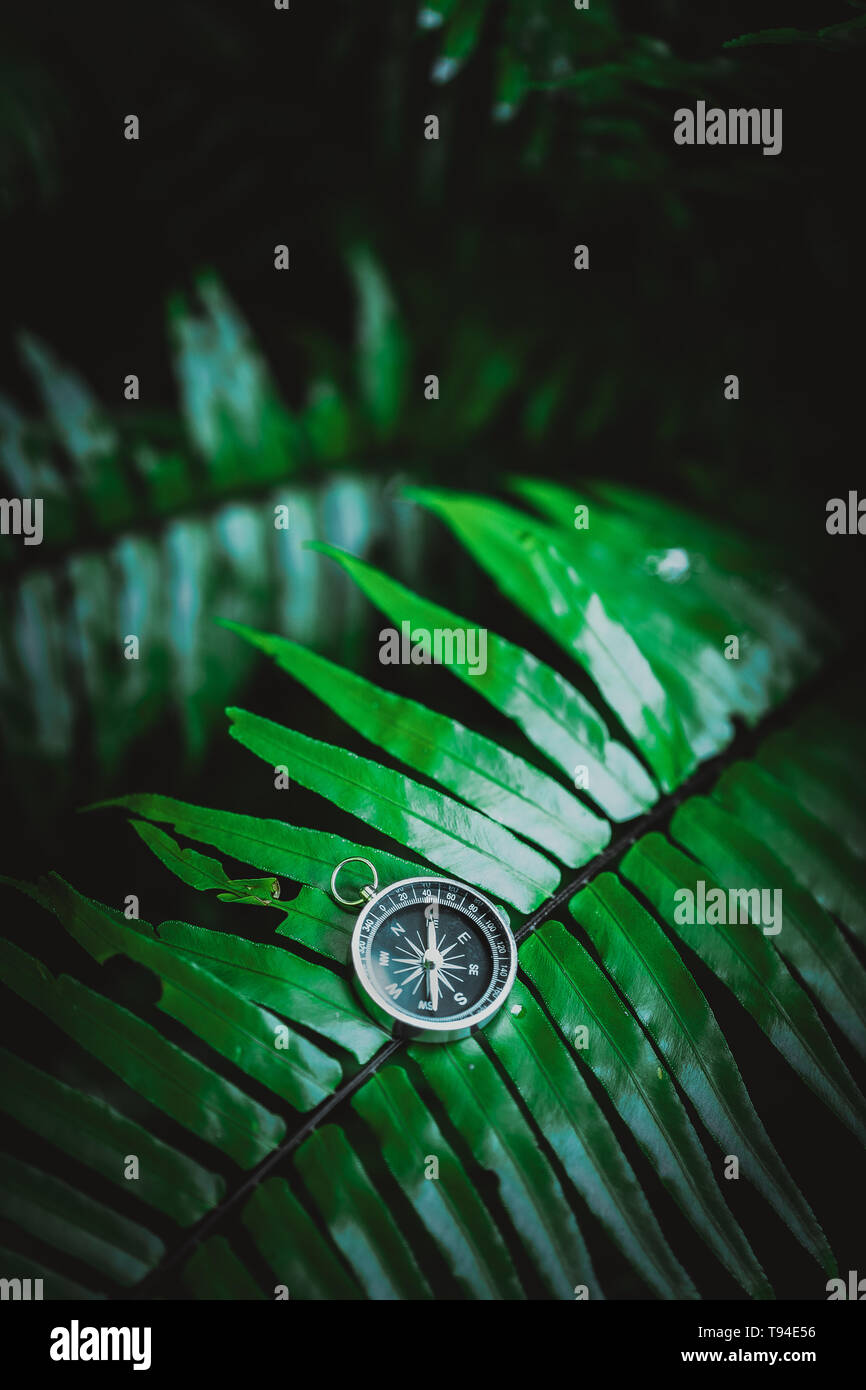 Compass laying on fern leaf in a vivid moody tropical jungle foliage ...