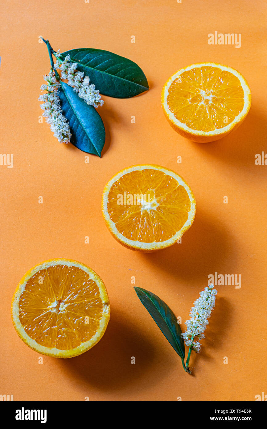 Flat lay stil life oranges knolling Stock Photo - Alamy