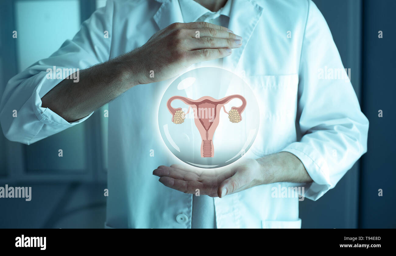 Fallopian tube hi-res stock photography and images - Alamy