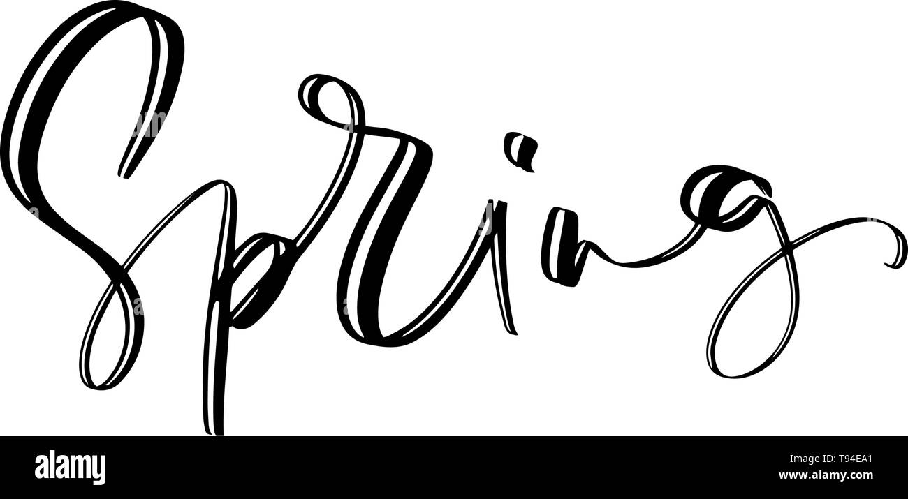 Spring wonderland text, hand drawn brush lettering. Holiday greetings ...