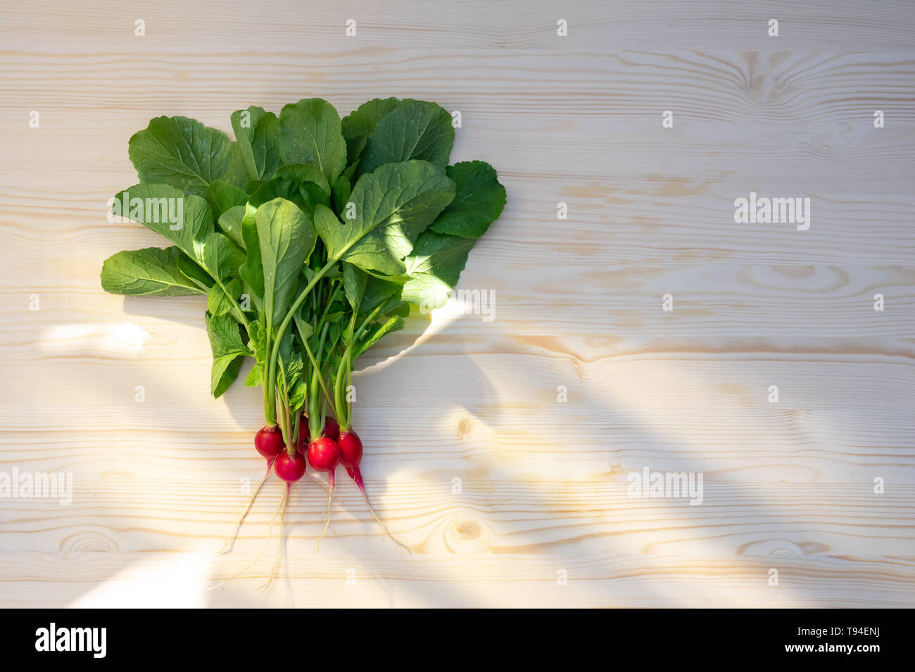Fresh radish. Top view with copy space. Light wooden background Stock ...