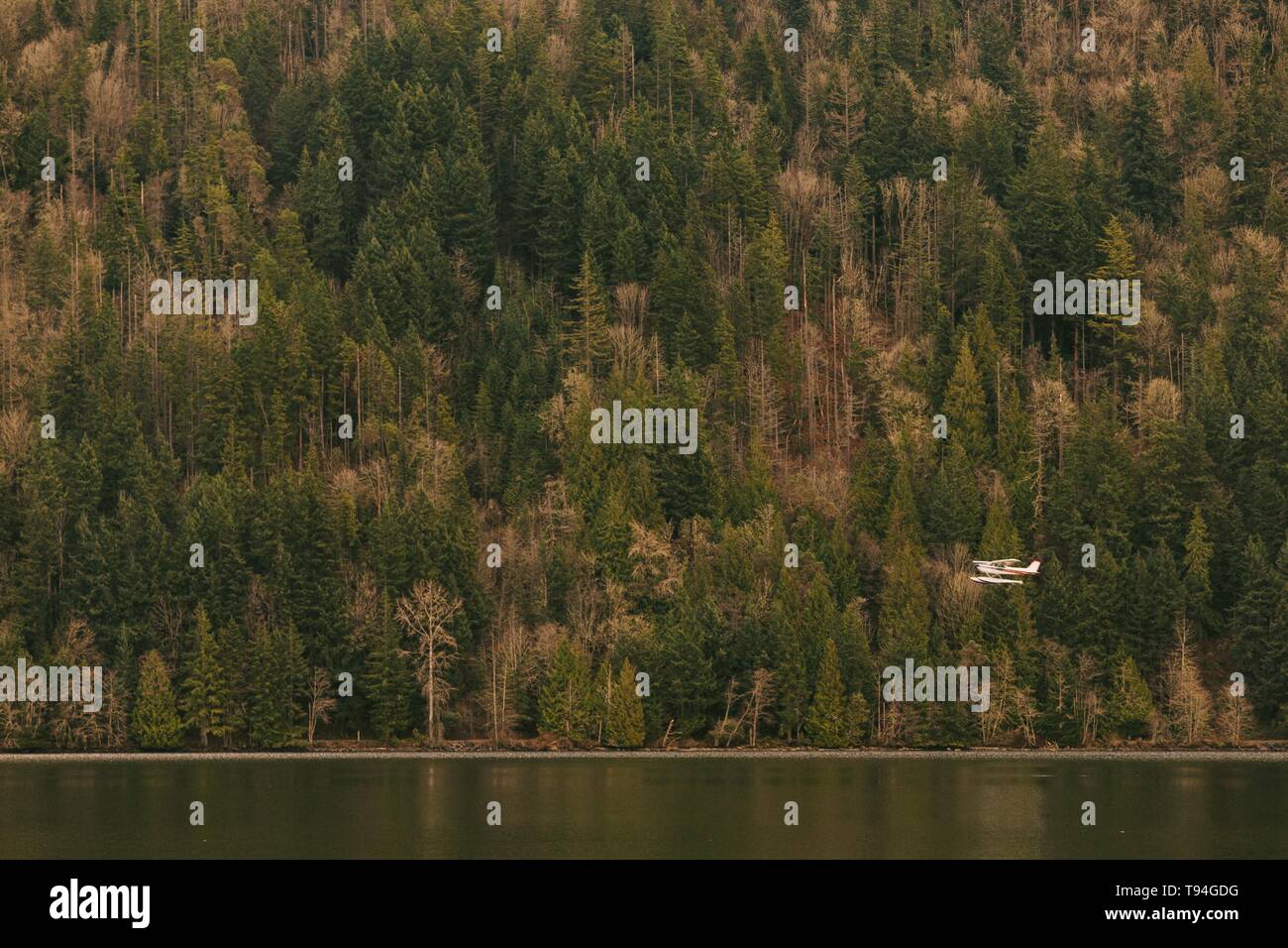 A seaplane flying low above a lake Stock Photo - Alamy