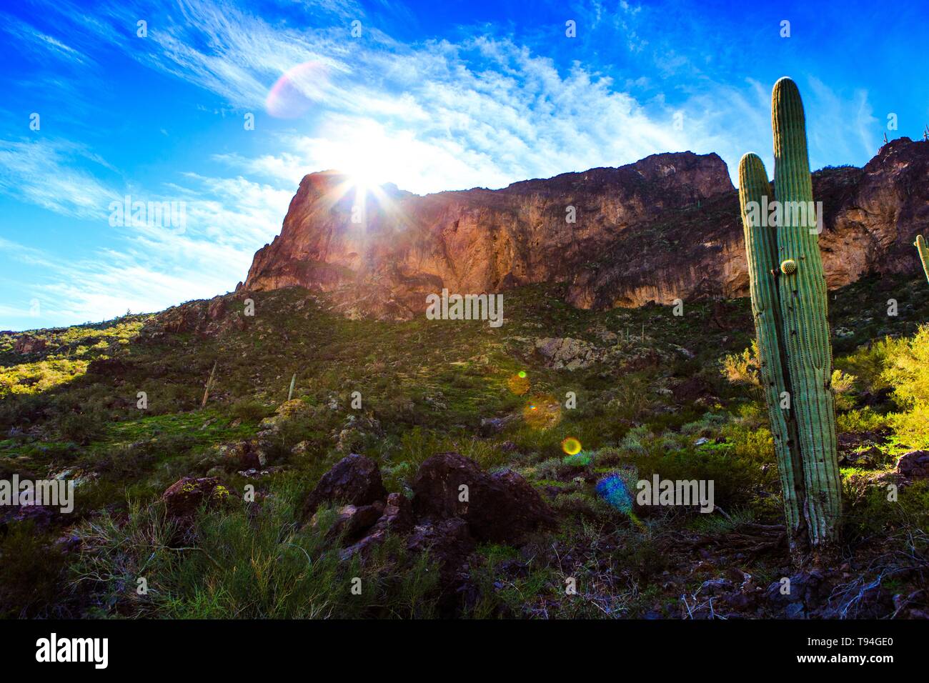 Beautiful scenery of the desert during the day Stock Photo - Alamy