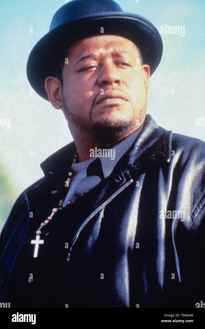 Body count hi-res stock photography and images - Alamy