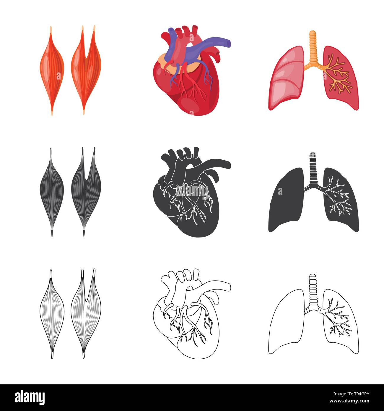 Vector illustration of biology and scientific icon. Set of biology and ...