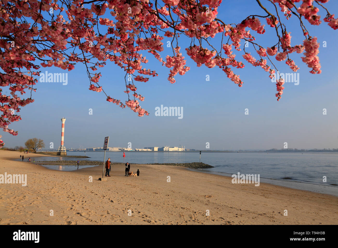River Elbe beach in Blankenese, Hamburg, Germany, Europe Stock Photo ...