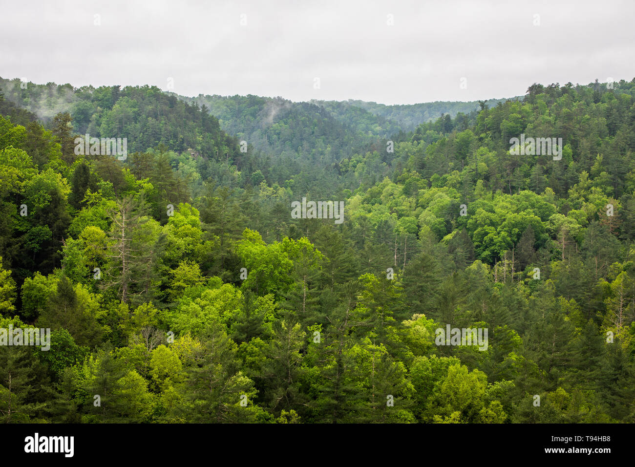 Red river gorge hi-res stock photography and images - Alamy