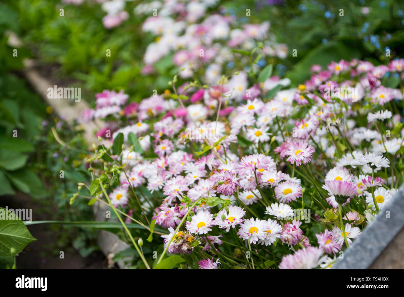 Thawing love hi-res stock photography and images - Alamy