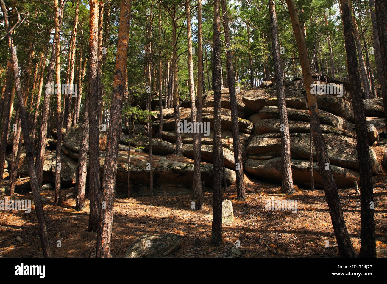 The karkaraly national park hi-res stock photography and images - Alamy