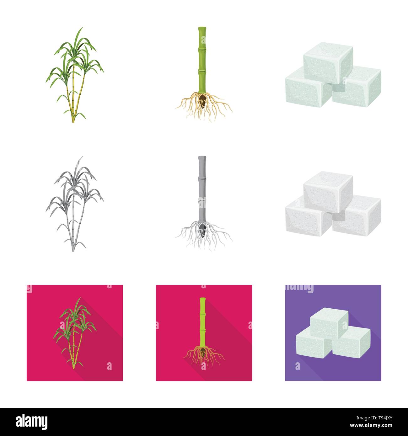 bush,root,cube,palm,system,food,growth,stem,ingredient,branch,sprout ...