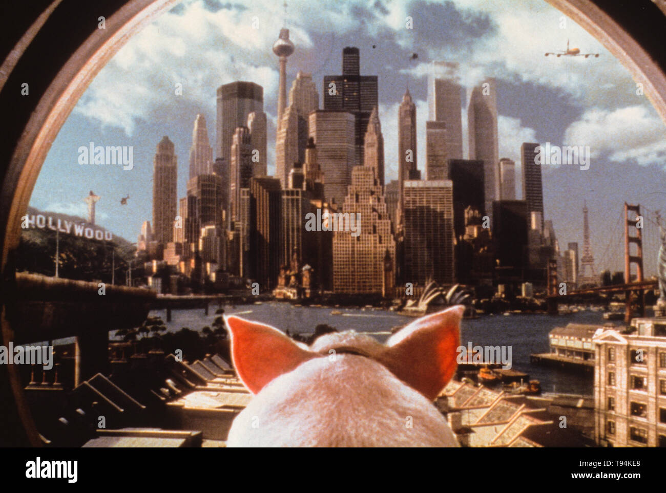 babe pig in the city Stock Photo - Alamy