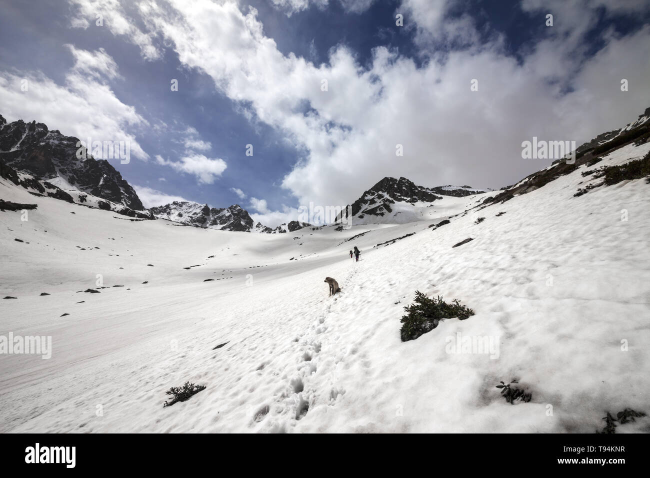 Snowy mountains and blue sky with clouds. Footpath in snow from hikers ...