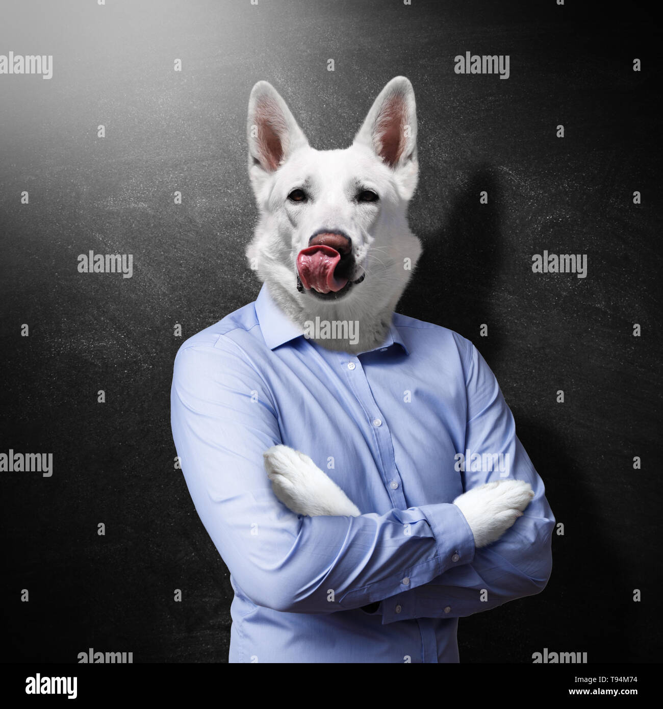 Animalistic hungry dog-man. Business and hunger concept Stock Photo - Alamy