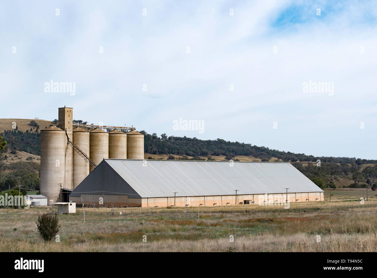 Traditional vertical silos and a more modern horizontal grain storage ...