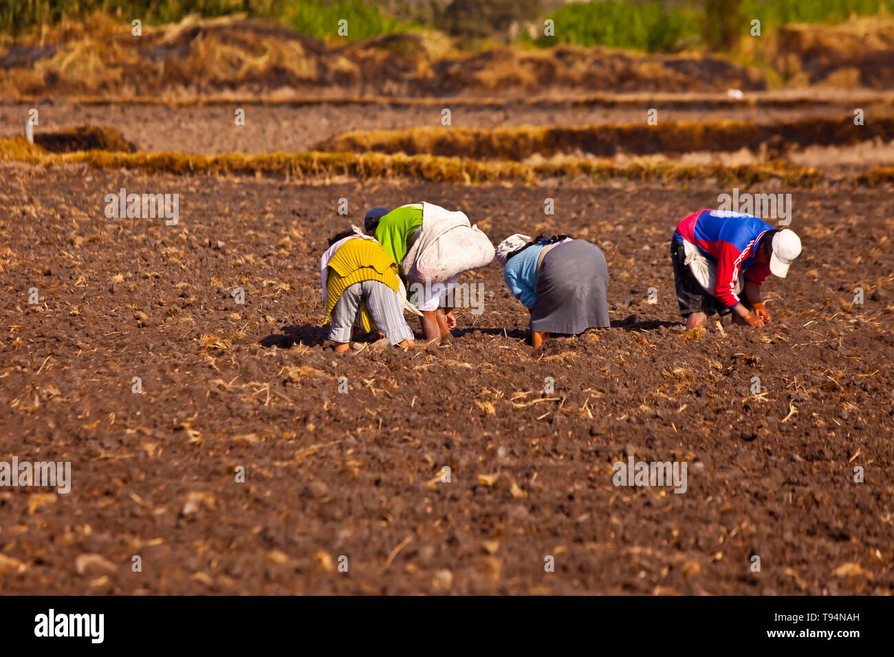 Inca land hi-res stock photography and images - Alamy
