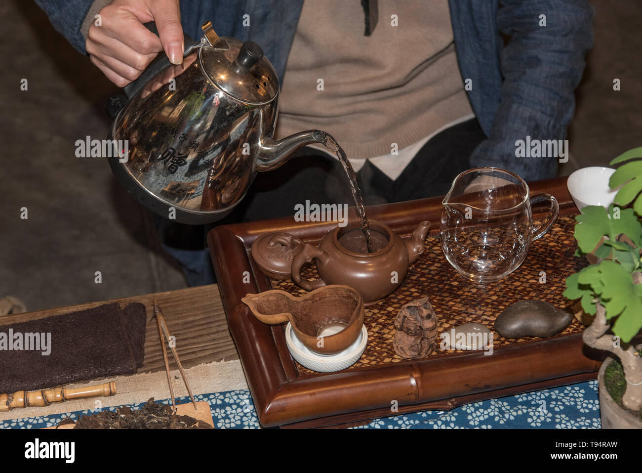 Chinese Tea Ceremony. Male server prepares the traditional tea ...