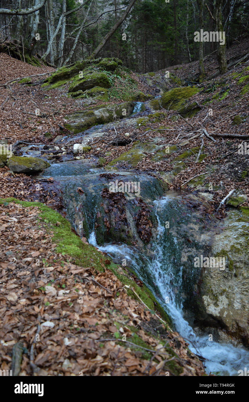 Mountain scene - creek with moss on stones Stock Photo - Alamy