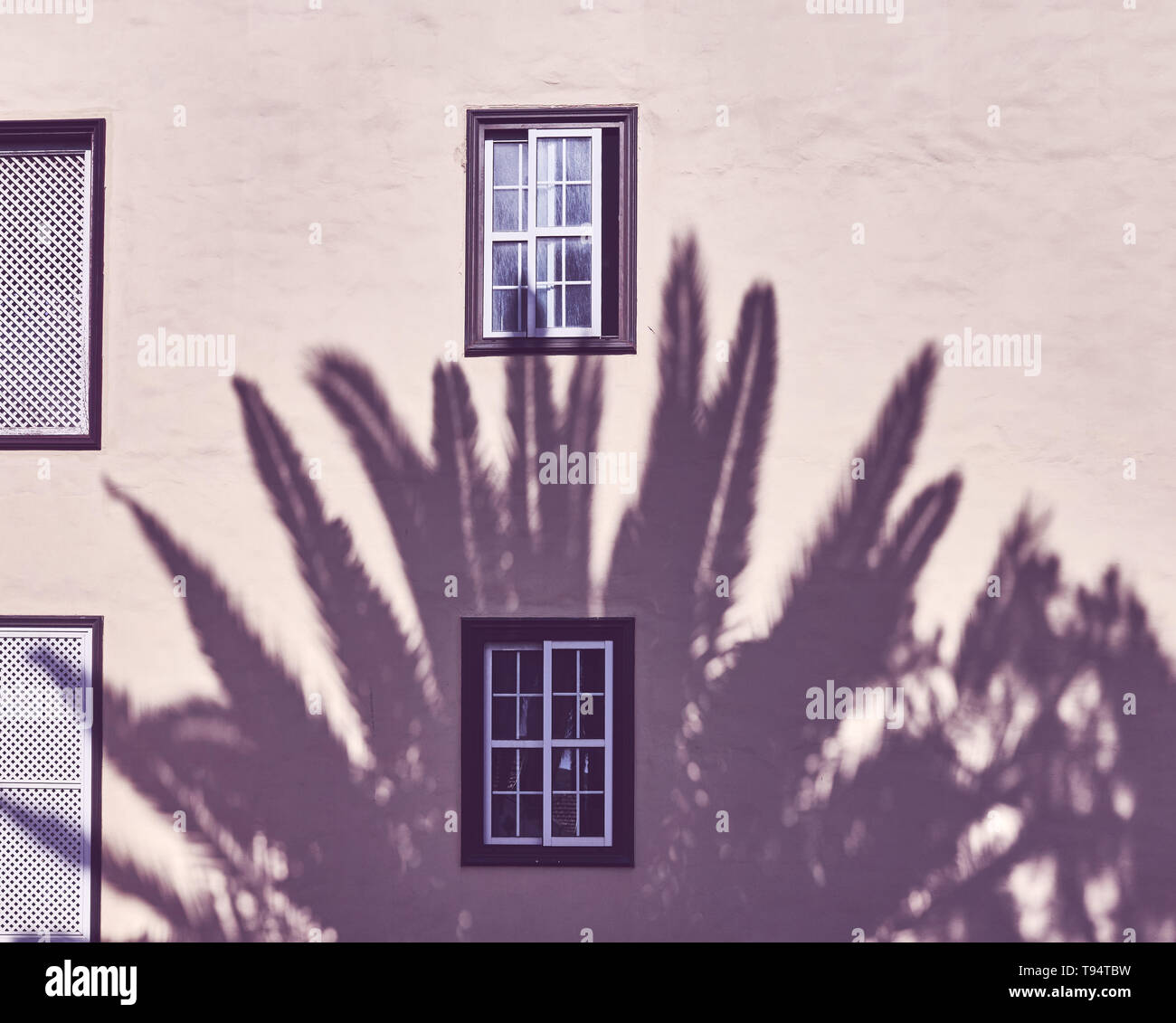 Shadow of a palm tree on a building wall, color toning applied Stock ...