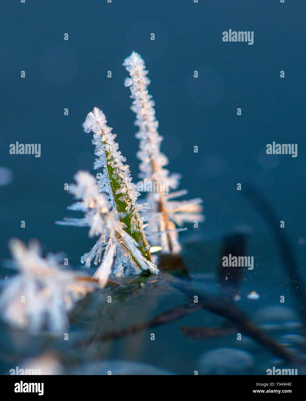 Multiple crystals hi-res stock photography and images - Alamy