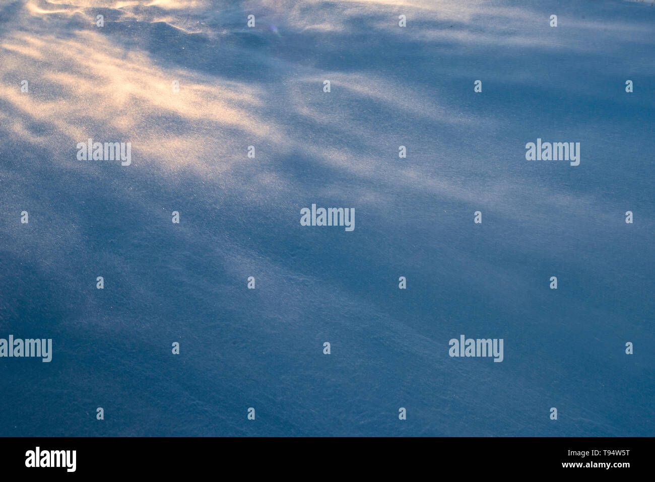 Light trough hi-res stock photography and images - Alamy