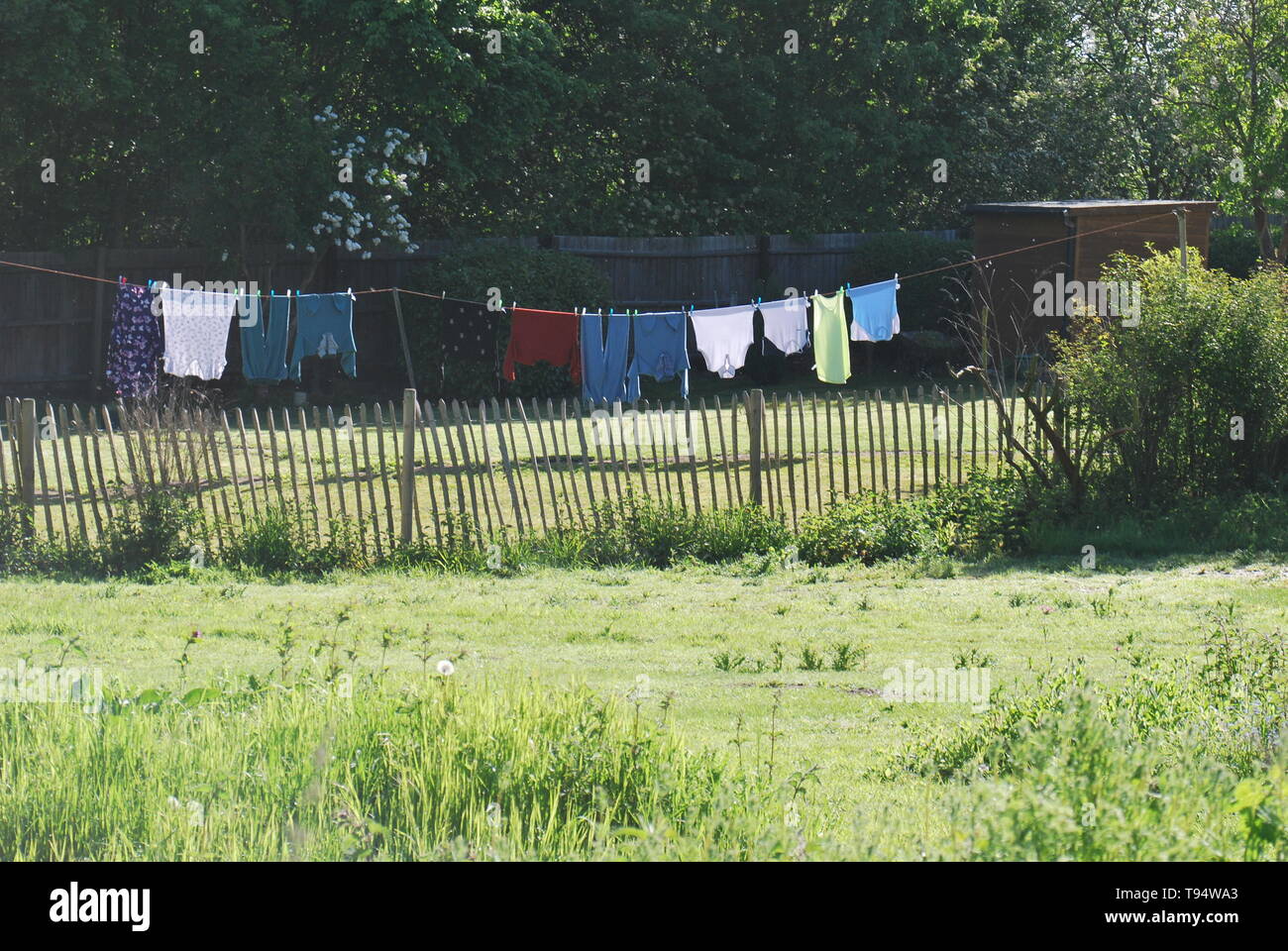 Laundry hanging on a washing line on sunny morning Stock Photo - Alamy