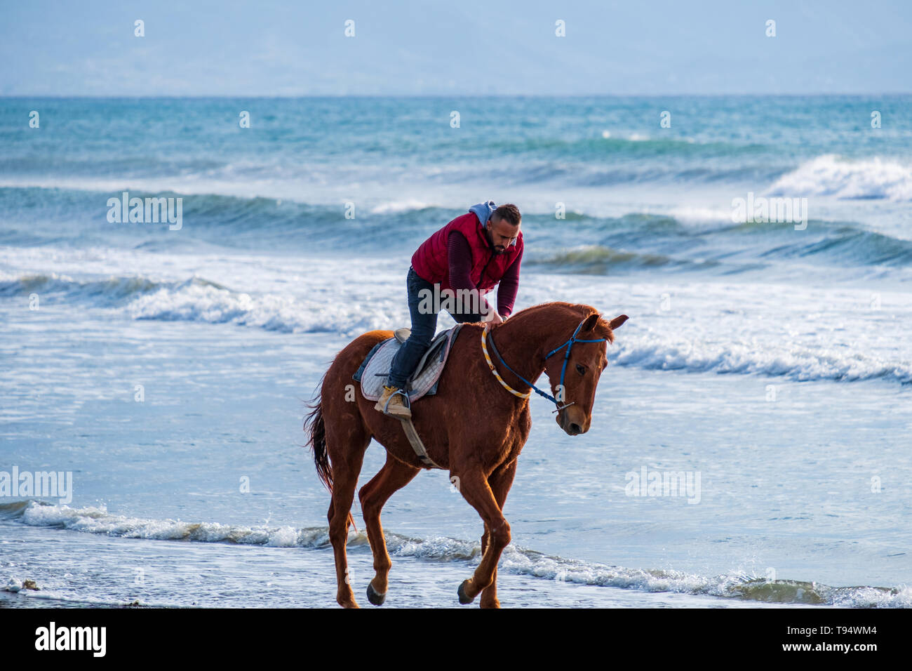 Silhouette horse rider galloping on hi-res stock photography and images ...