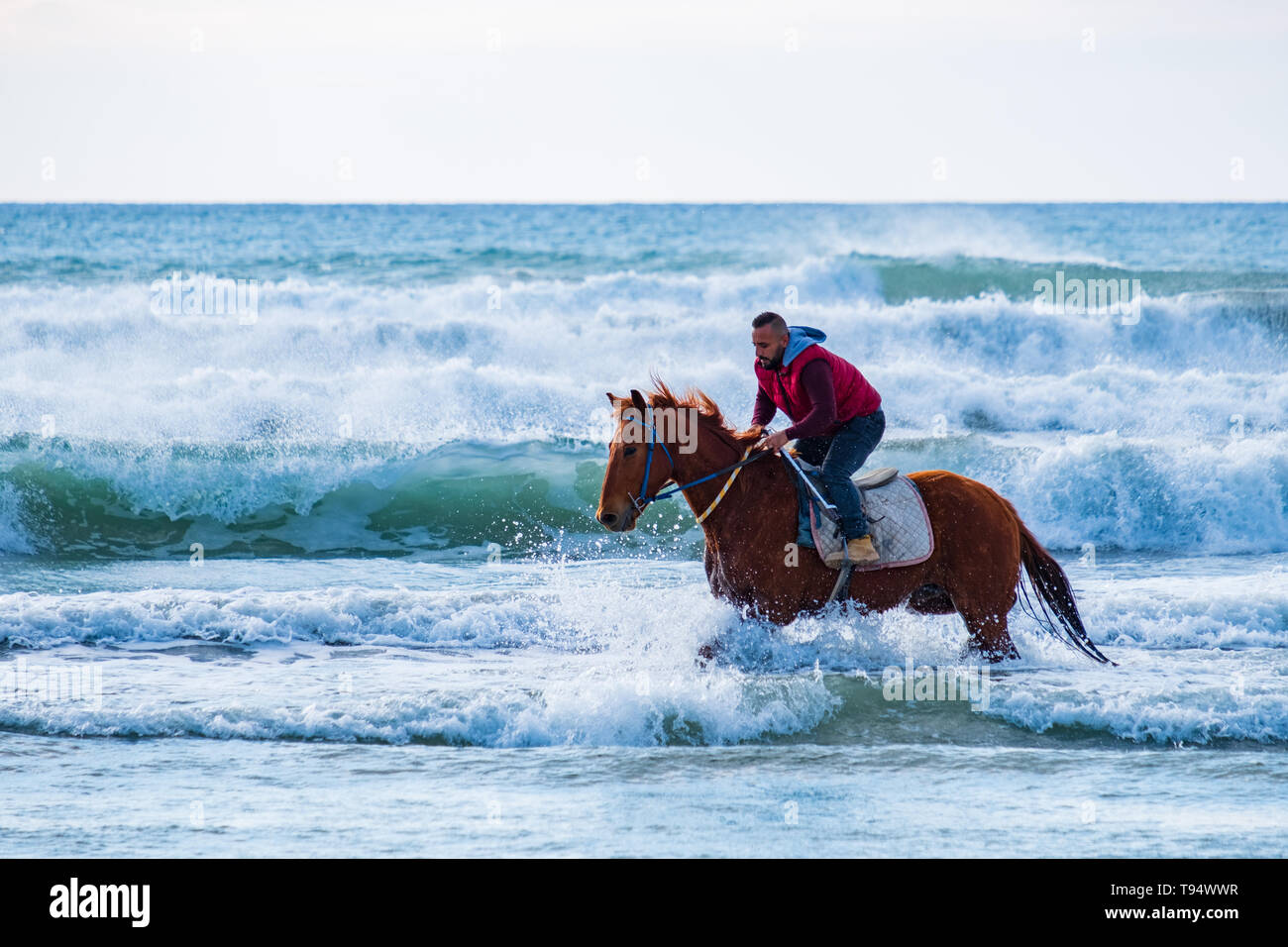 Cyprus horse riding hi-res stock photography and images - Alamy